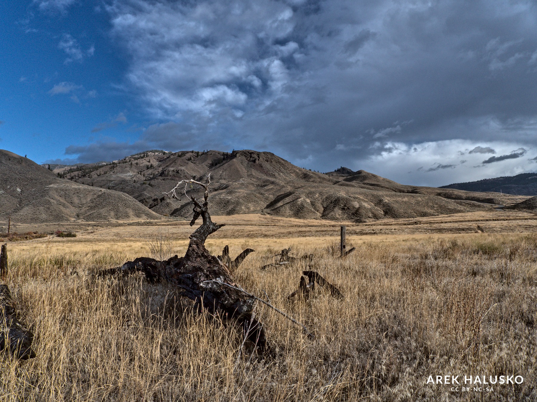 Capacity - Thompson-Nicola Conservation Collaborative