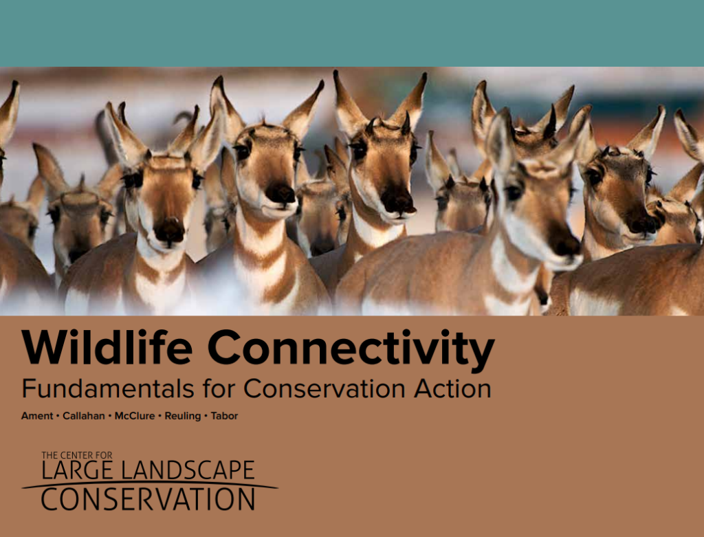 Wildlife Connectivity Fundamentals for Conservation Action Report ...